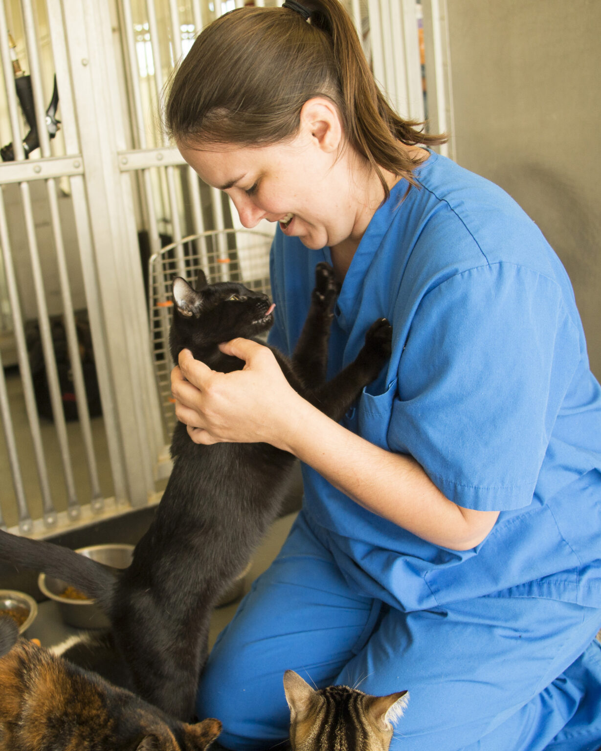 The Cat Connection: What Are Cat And Human Similarities?